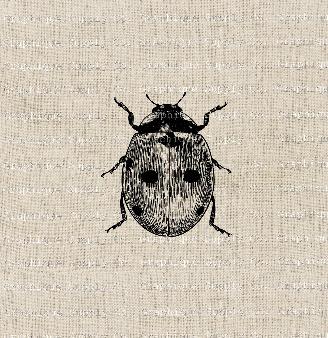 Lady Bug Clip Art Instant Download Digital Printable-bug - Etsy