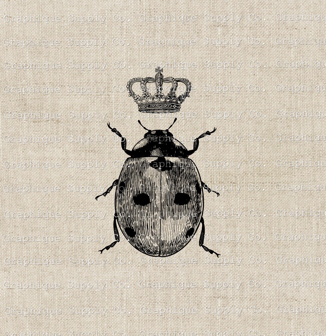 Lady Bug Clipart With Crown Vintage Illustration-digital Printable-iron ...