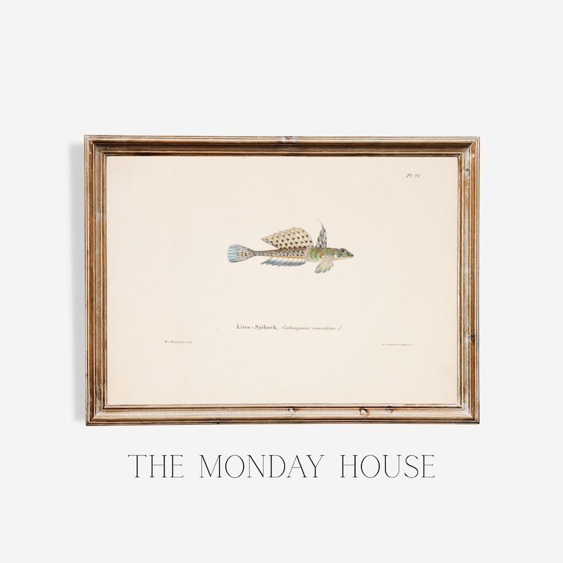 East Coast Grandmillennial Gallery Wall Art, Coastal Granddaughter ...