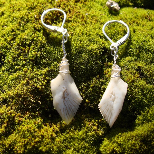 Alligator Gar Scales - Etsy