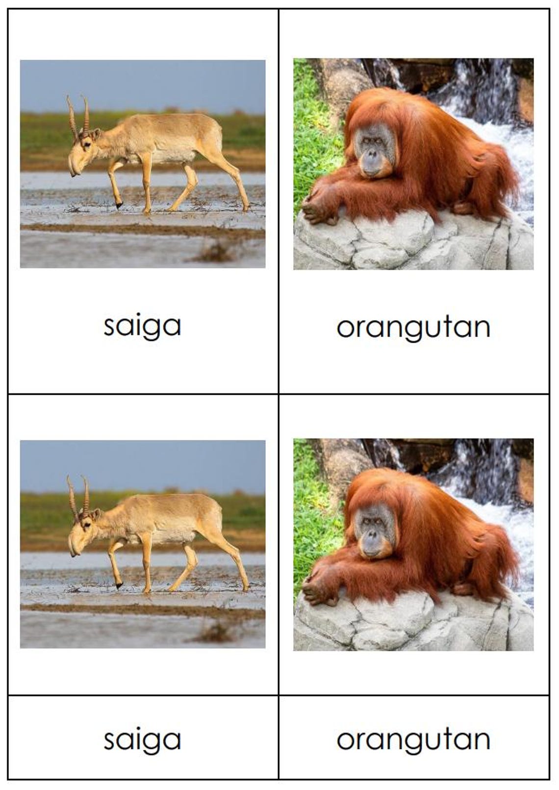 Asian Animals Safari Toob 3-part Card Set Digital File - Etsy