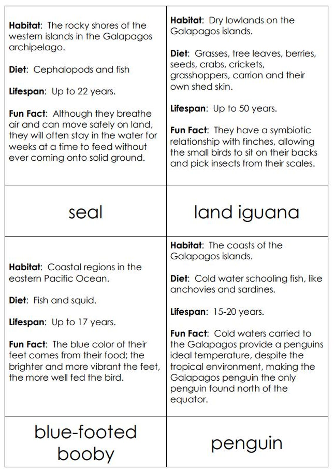 Galapagos Safari Toob 3-part Card Set Digital File - Etsy