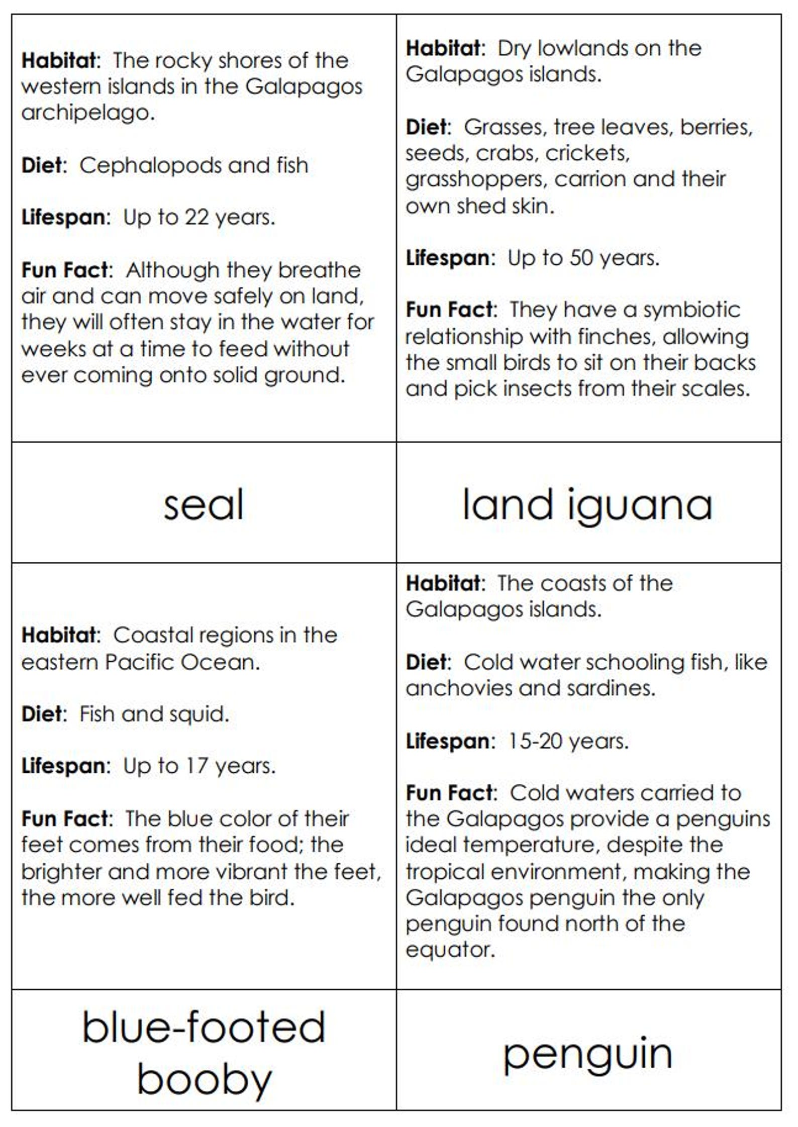 Galapagos Safari Toob 3-part Card Set Digital File - Etsy