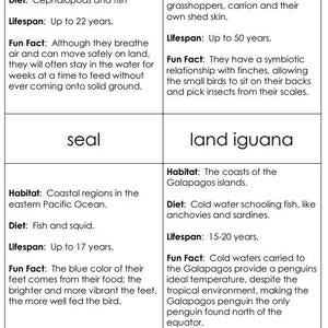 Galapagos Safari Toob 3-part Card Set Digital File - Etsy