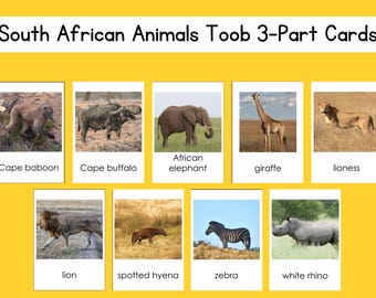Asian Animals Safari Toob 3-part Card Set Digital File - Etsy