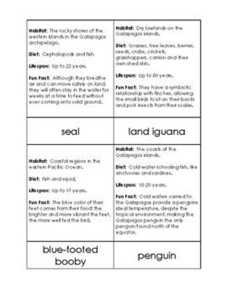 Galapagos Safari Toob 3-part Card Set - Etsy