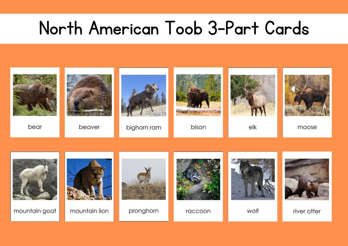 North American Safari Toob 3-part Card Set Digital File - Etsy