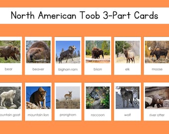 Asian Animals Safari Toob 3-part Card Set Digital File - Etsy