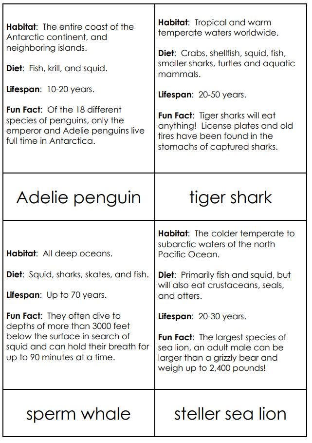 Ocean Safari Toob 3-part Card Set Digital File - Etsy