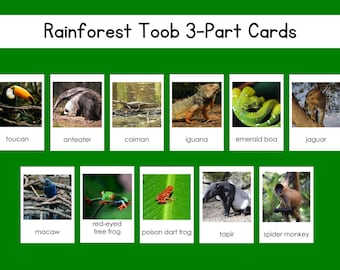 Asian Animals Safari Toob 3-part Card Set Digital File - Etsy