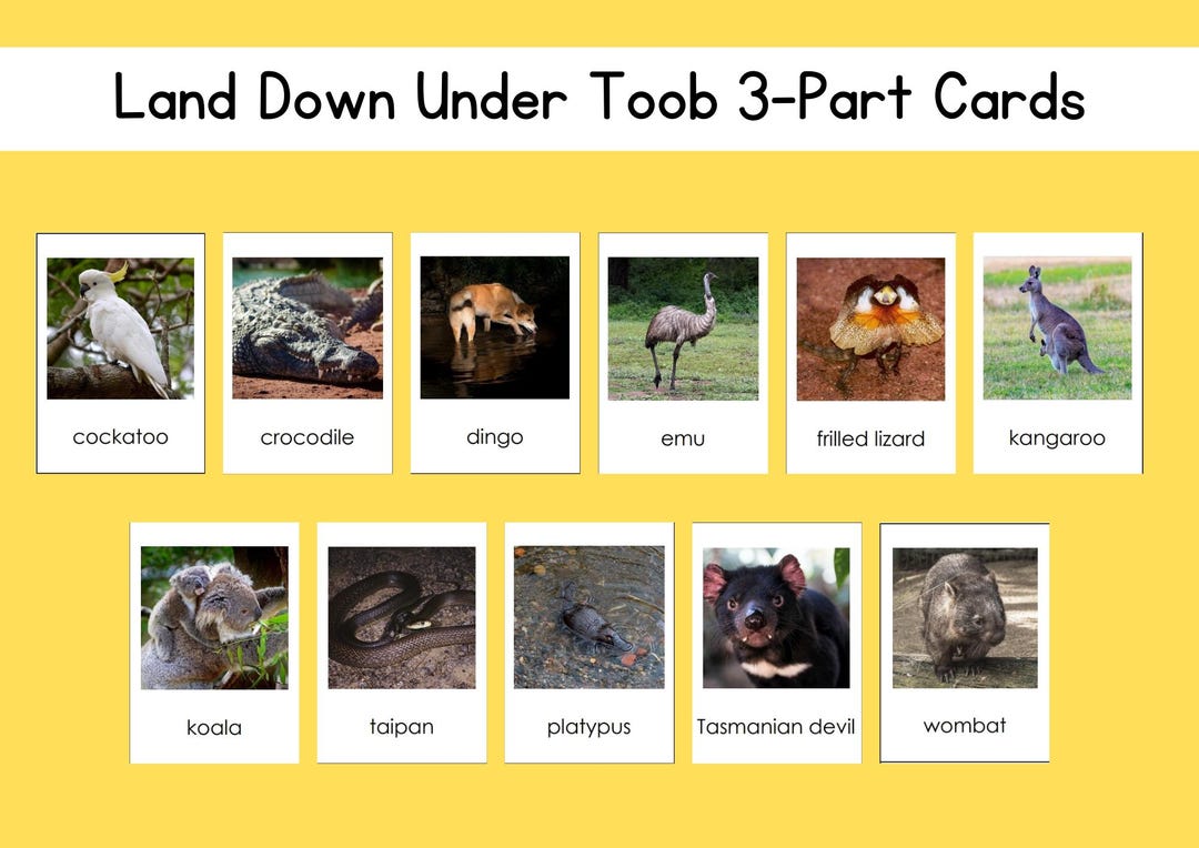 Land Down Under Safari Toob 3-part Card Set Digital File - Etsy