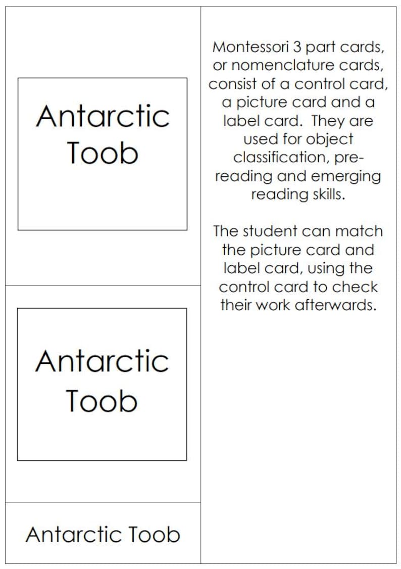 Antarctica Safari Toob 3-part Card Set Digital File - Etsy