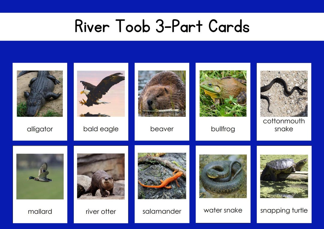 River Safari Toob 3-part Card Set Digital File - Etsy