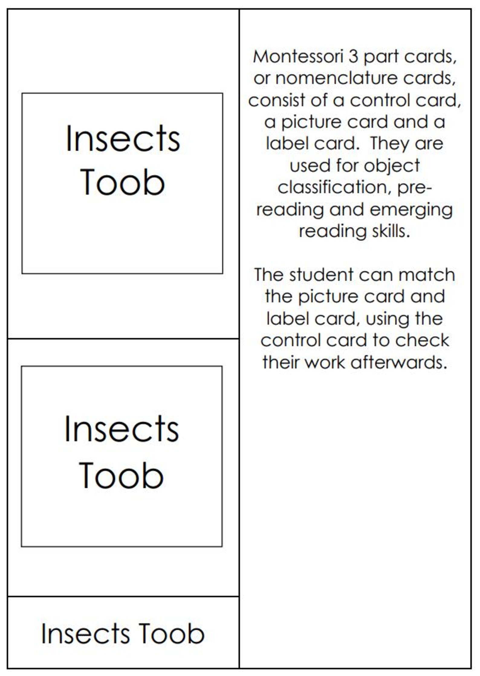 Insect Safari Toob 3-part Card Set Digital File - Etsy