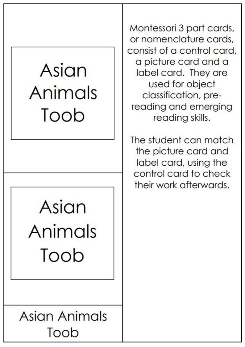 Asian Animals Safari Toob 3-part Card Set Digital File - Etsy