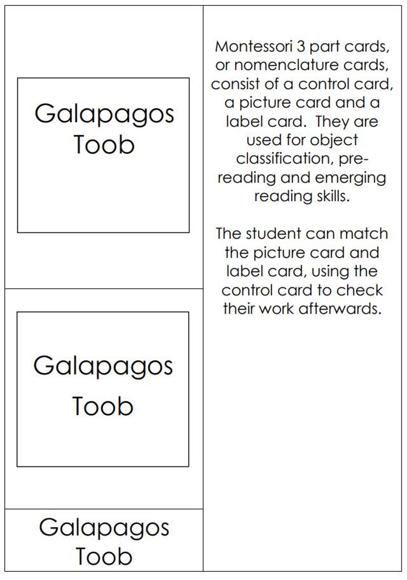 Galapagos Safari Toob 3-part Card Set Digital File - Etsy