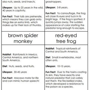 Rainforest Safari Toob 3-part Card Set Digital File - Etsy