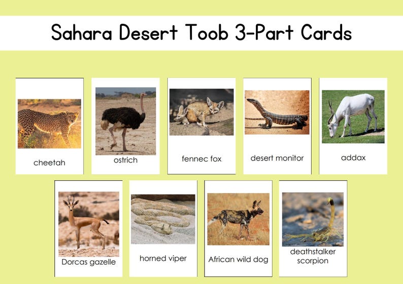 Sahara Desert Safari Toob 3-part Card Set Digital File - Etsy