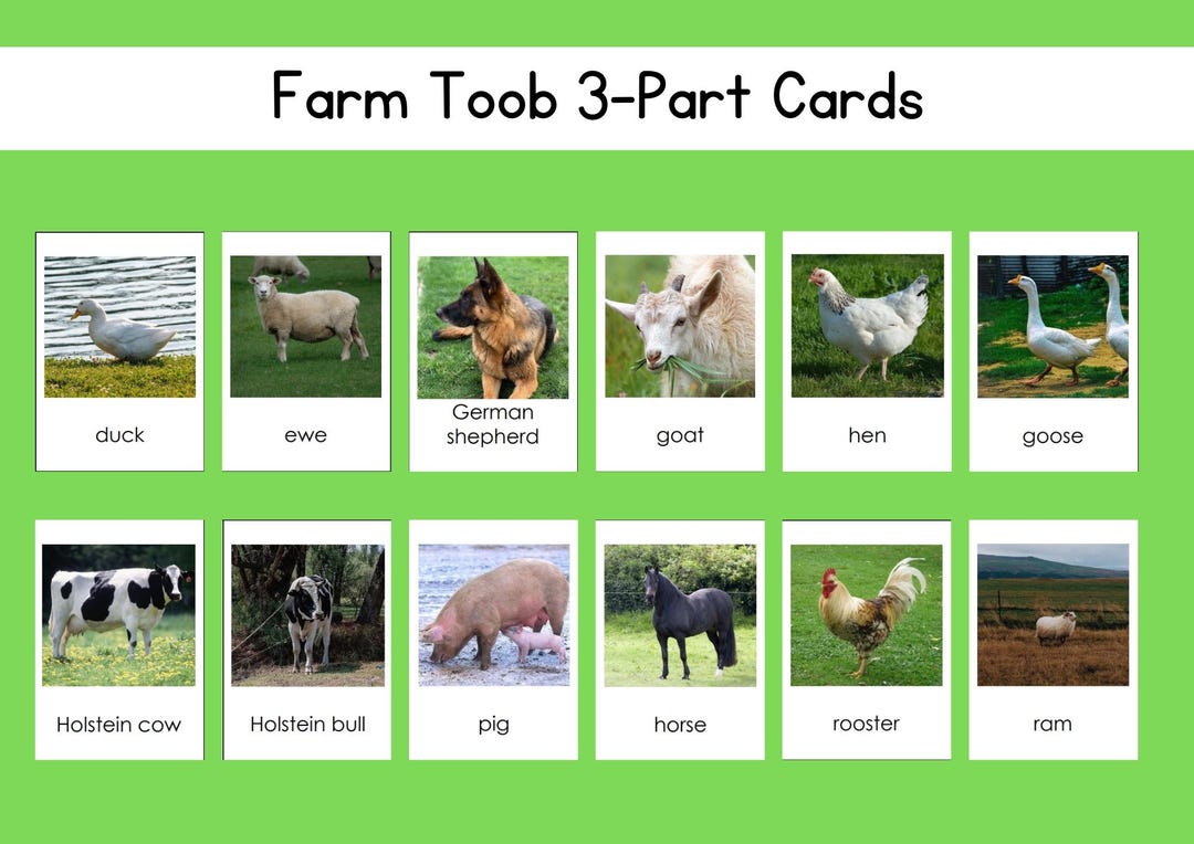 Farm Safari Toob 3-part Card Set Digital File - Etsy