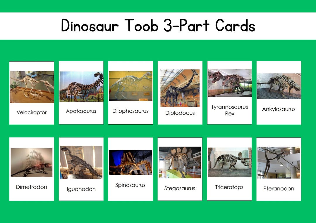 Dinosaur Safari Toob 3-part Card Set Digital File - Etsy