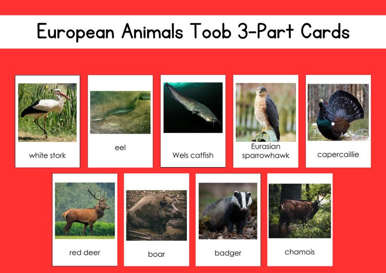 European Animals Safari Toob 3-part Card Set Digital File - Etsy
