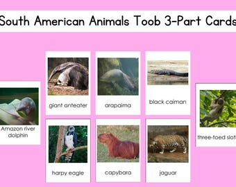 Asian Animals Safari Toob 3-part Card Set Digital File - Etsy