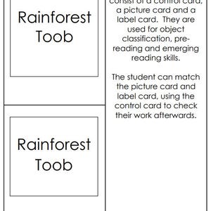 Rainforest Safari Toob 3-part Card Set Digital File - Etsy
