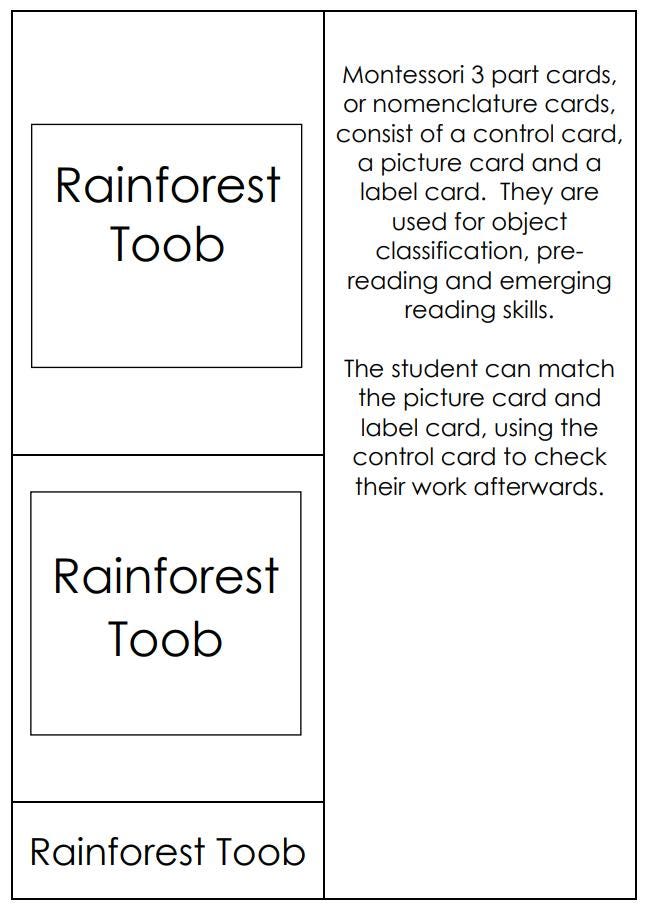 Rainforest Safari Toob 3-part Card Set Digital File - Etsy