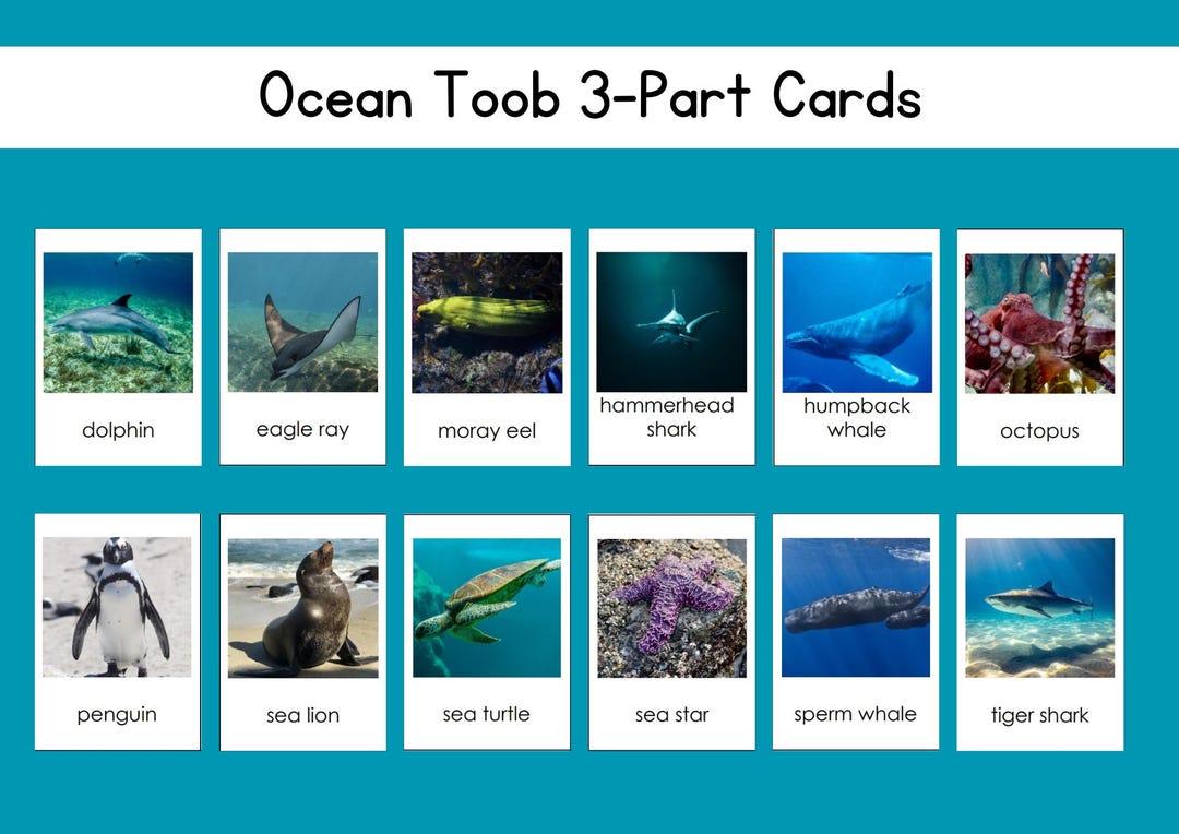 Ocean Safari Toob 3-part Card Set Digital File - Etsy