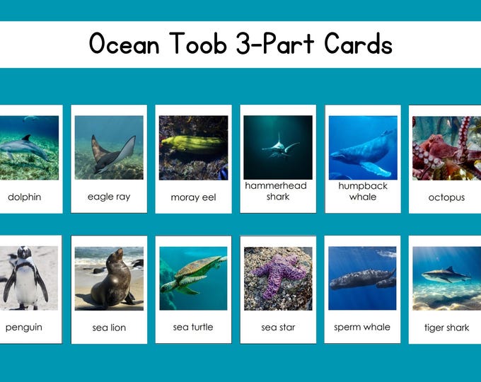 PRINTABLE Tools 3 Part Cards for Safariltd TOOB - Etsy Canada