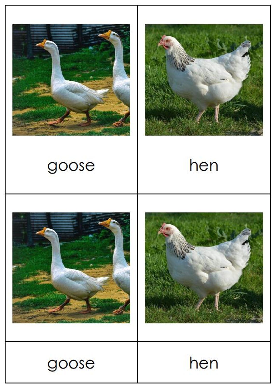 Farm Safari Toob 3-part Card Set Digital File - Etsy