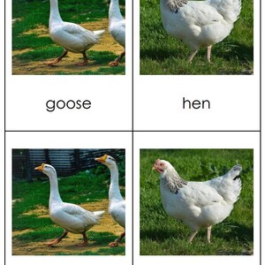 Farm Safari Toob 3-part Card Set Digital File - Etsy