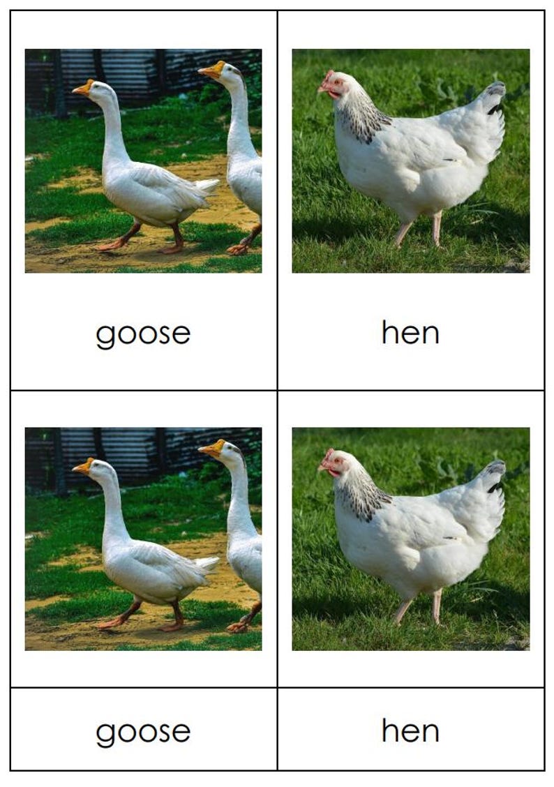 Farm Safari Toob 3-part Card Set Digital File - Etsy