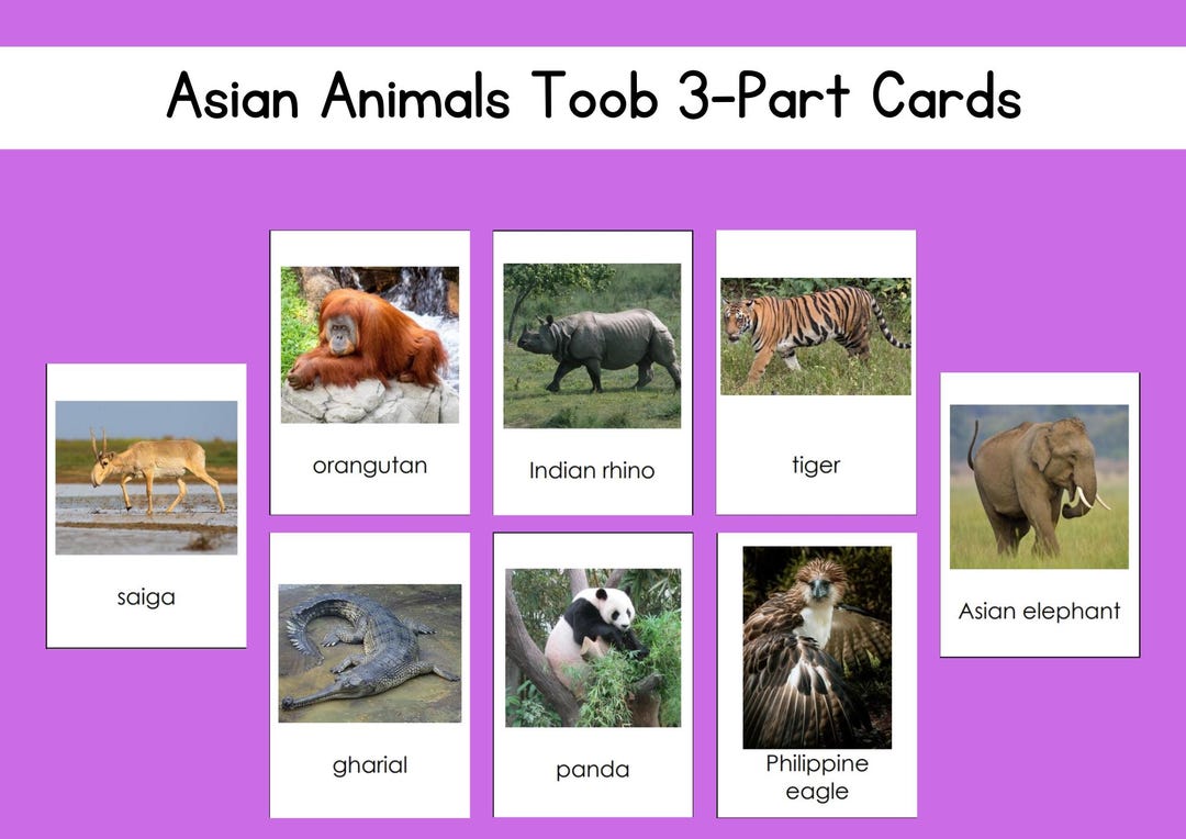 Asian Animals Safari Toob 3-part Card Set Digital File - Etsy