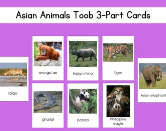 Farm Safari Toob 3-part Card Set Digital File - Etsy