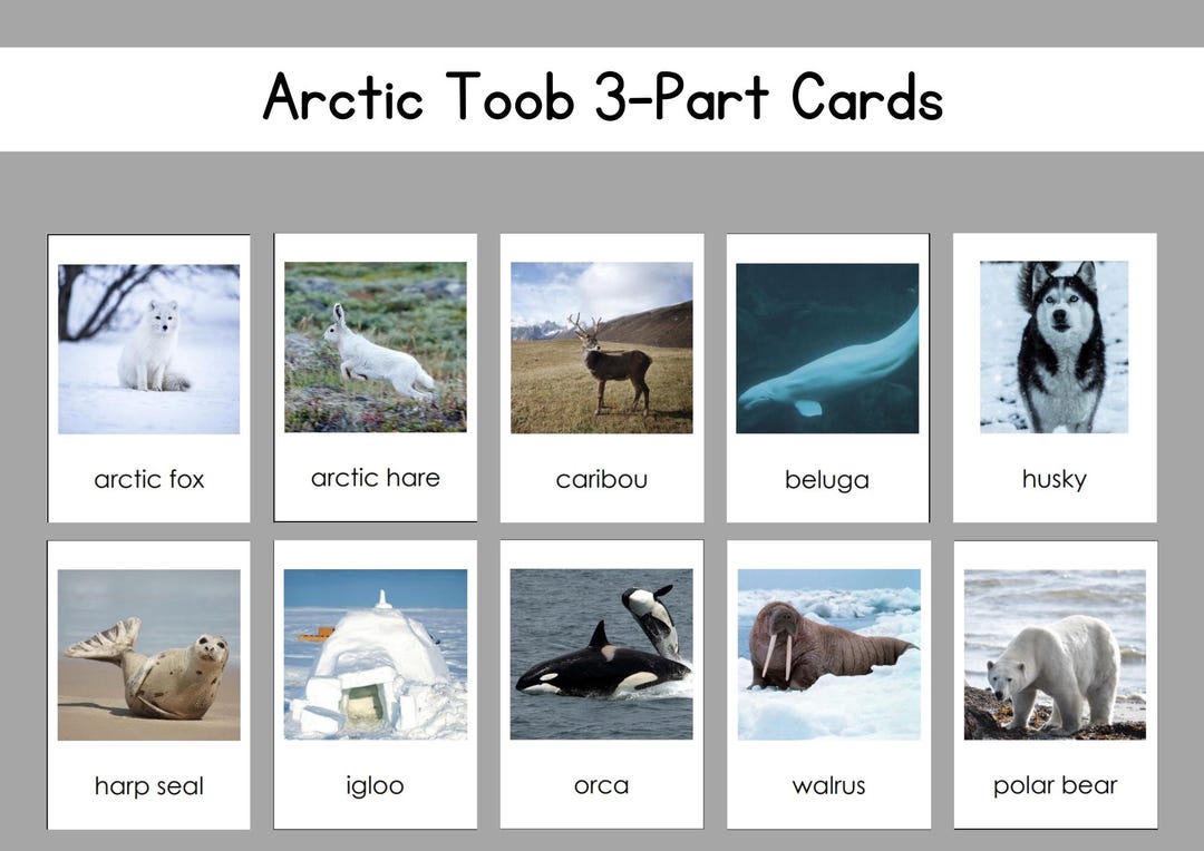 Arctic Safari Toob 3-part Card Set Digital File - Etsy