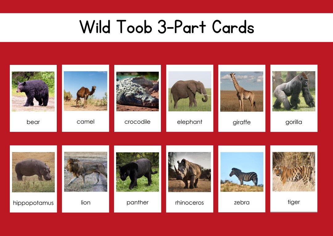 Wild Safari Toob 3-part Card Set Digital File - Etsy