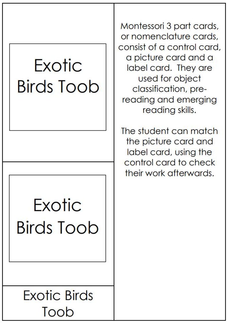 Exotic Birds Safari Toob 3-part Card Set Digital File - Etsy