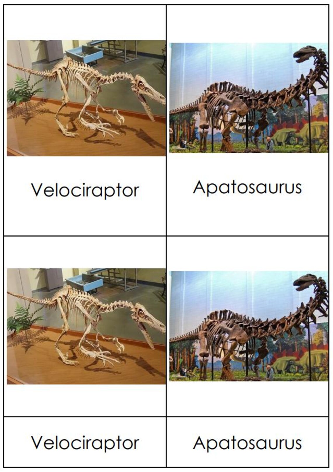 Dinosaur Safari Toob 3-part Card Set Digital File - Etsy