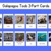 Galapagos Safari Toob 3-part Card Set Digital File - Etsy
