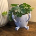 Middle Finger Planter Pot Happy Vase Succulent Planter Gag Gift Pot ...