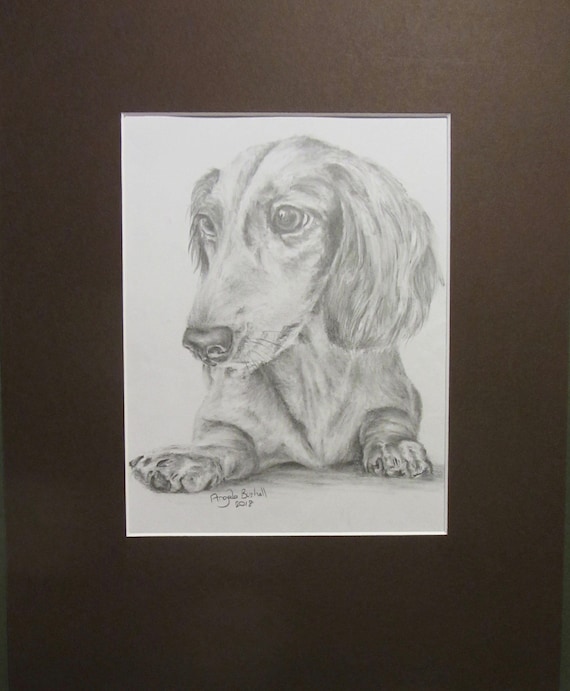 Dibujo A Lapiz De Perro