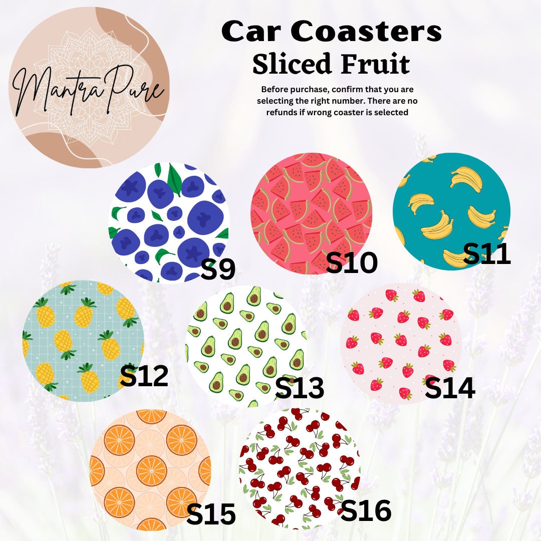 Set of 2 | Fruit Slice Car Coasters | Cute Ceramic Car Coasters ...