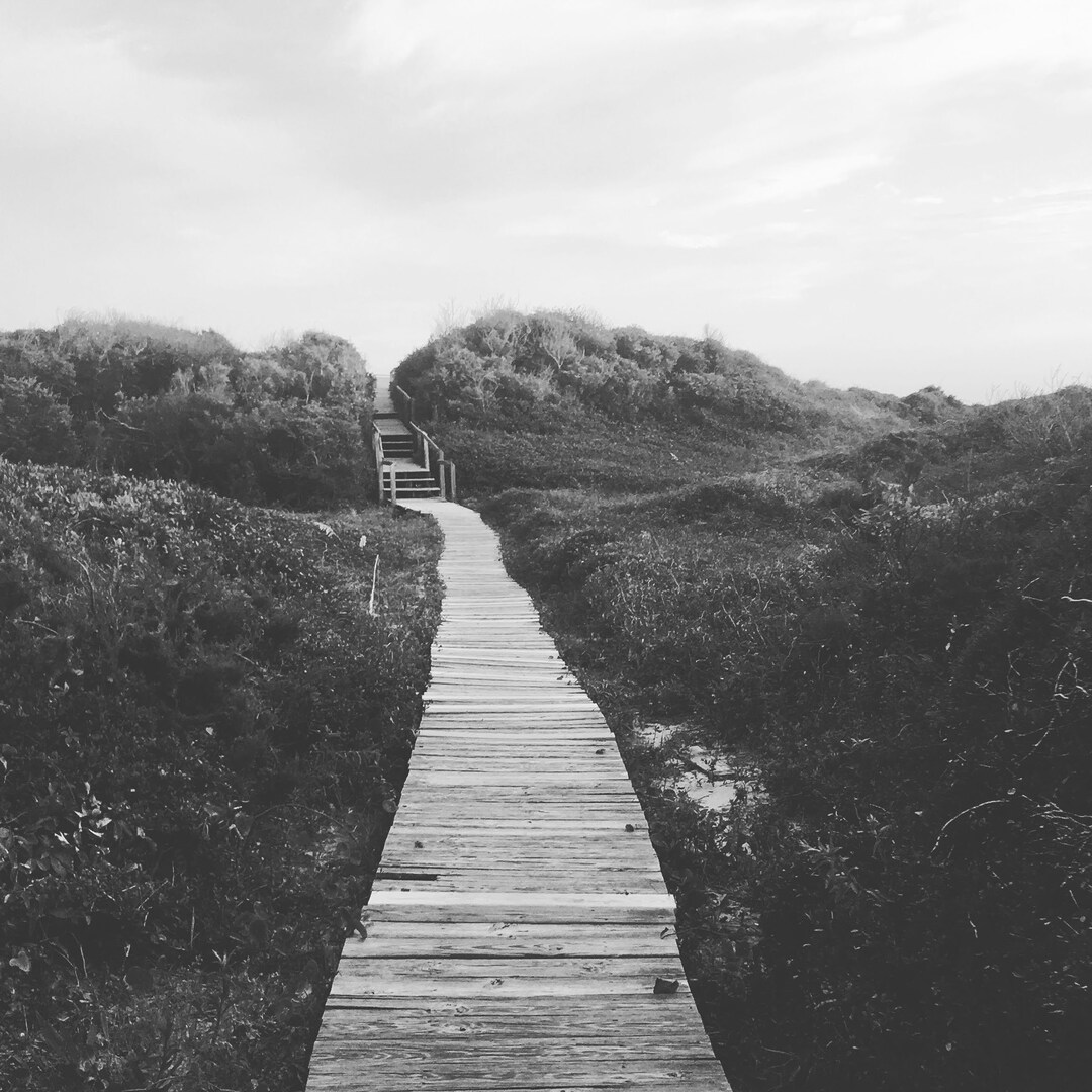 Digital Beach Walk | Board Walk | Dreaming | Digital Print ...