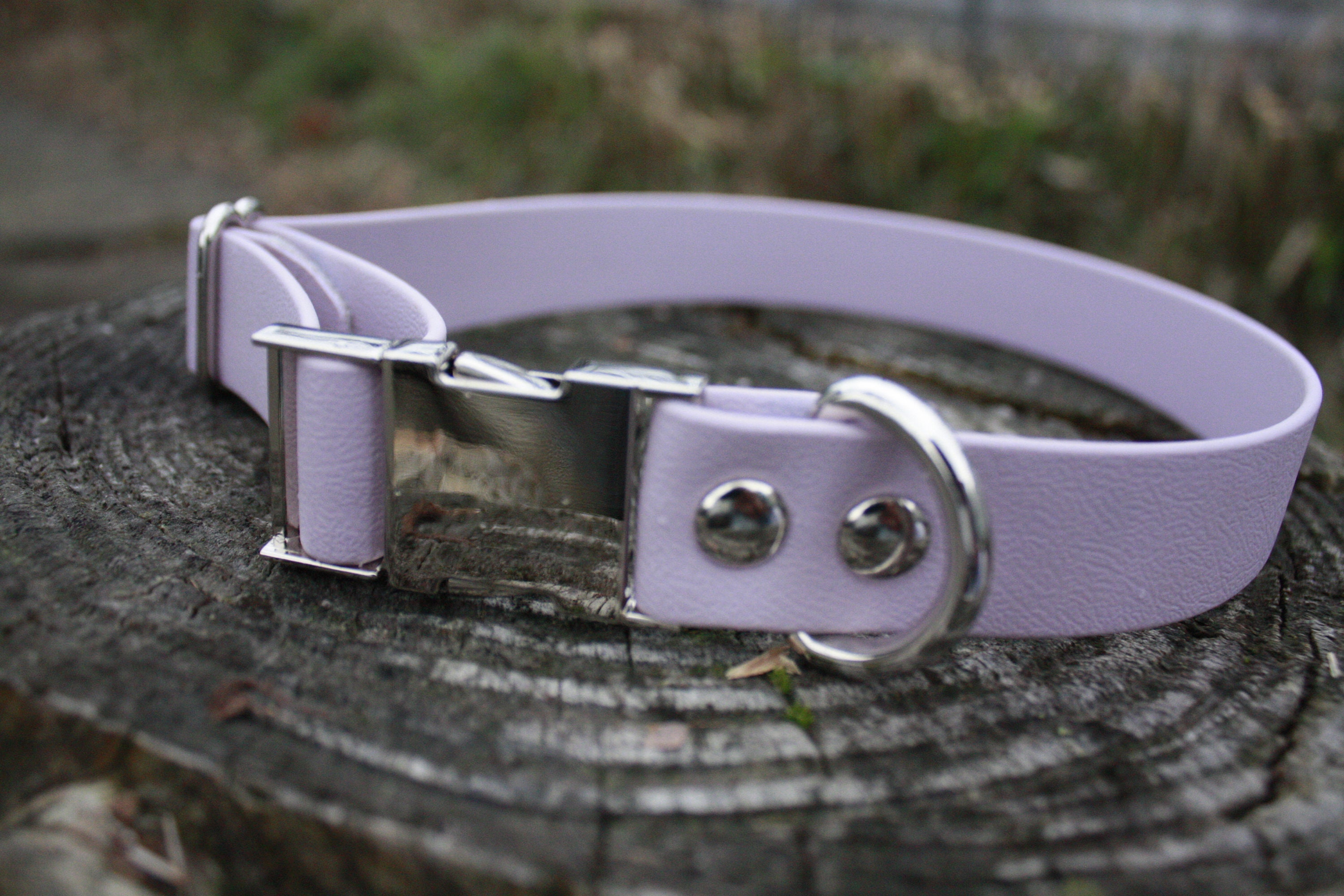 1 Biothane Collar Waterproof Biothane Collar Waterproof Collar Dog ...