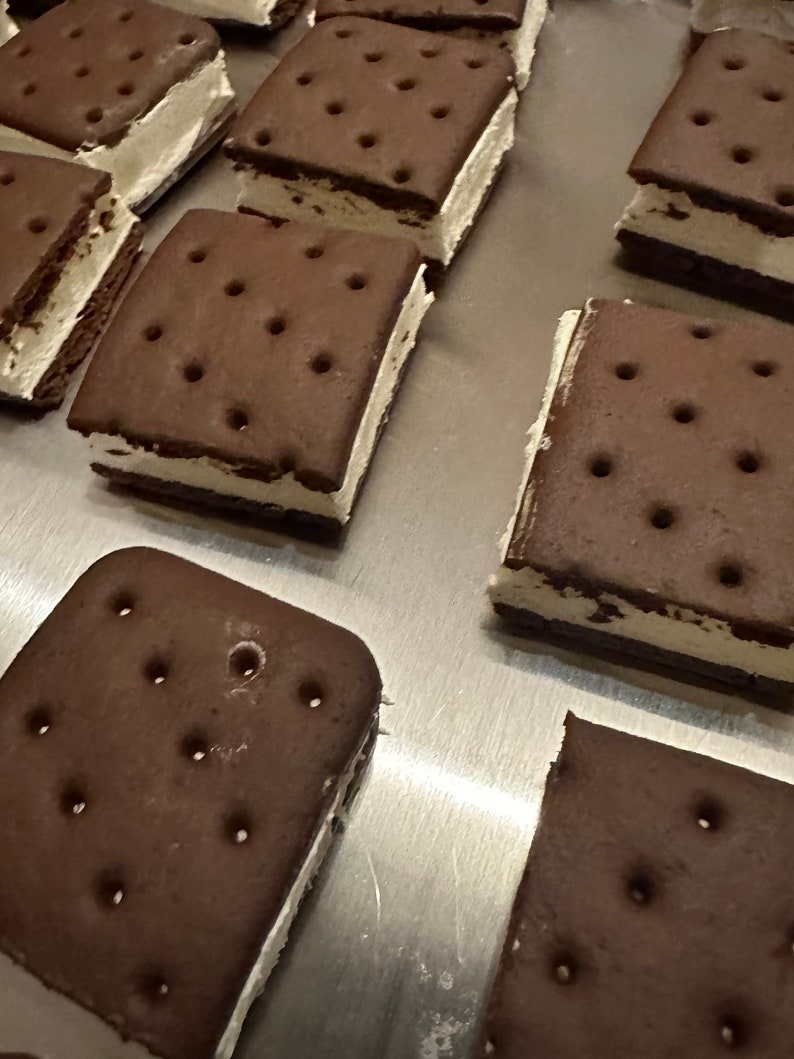 Freeze Dried Ice Cream Sandwiches - PICK YOUR FLAVOR - Etsy