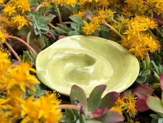 Ceramic Bee Bath Bee and Butterfly Water Drinking Station - Etsy