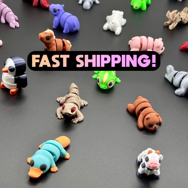 Mystery 3d Printed Tiktok - Etsy