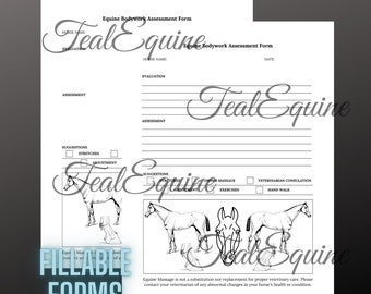 Horse Assessment Form - Etsy UK