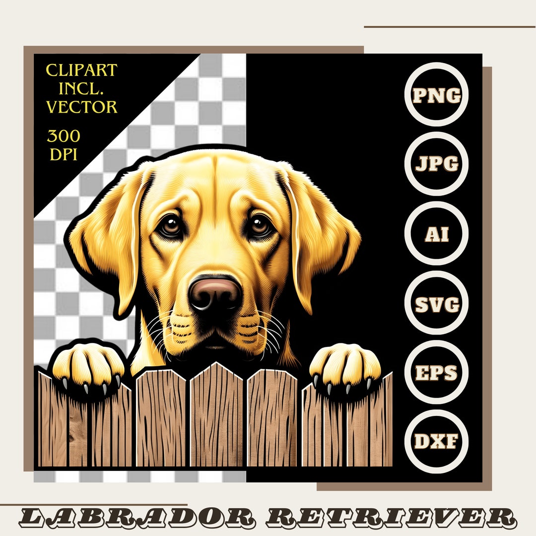 Lab Retriever Labrador Retriever Labrador Puppy Lab Puppies Golden ...